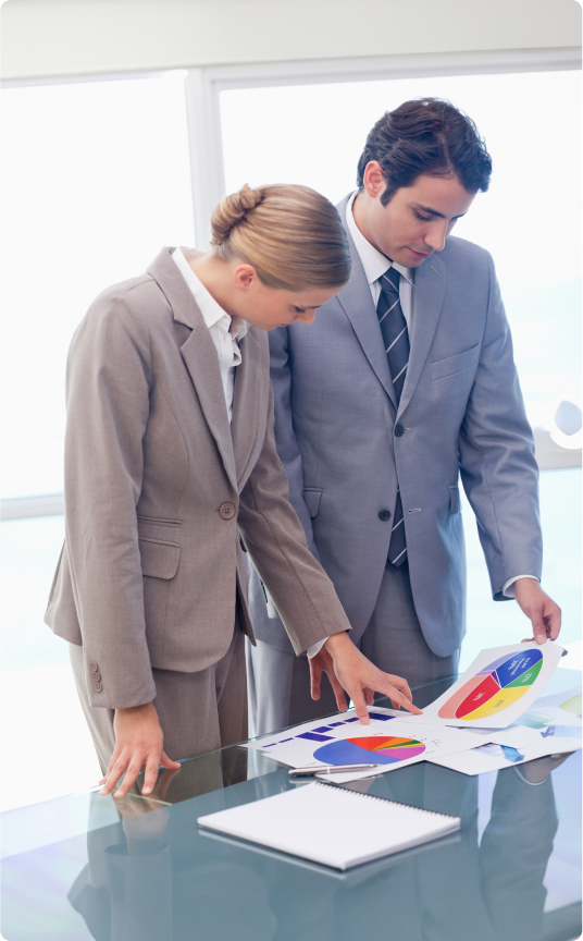 Strategic Consulting - Skyward Analytics Private Limited